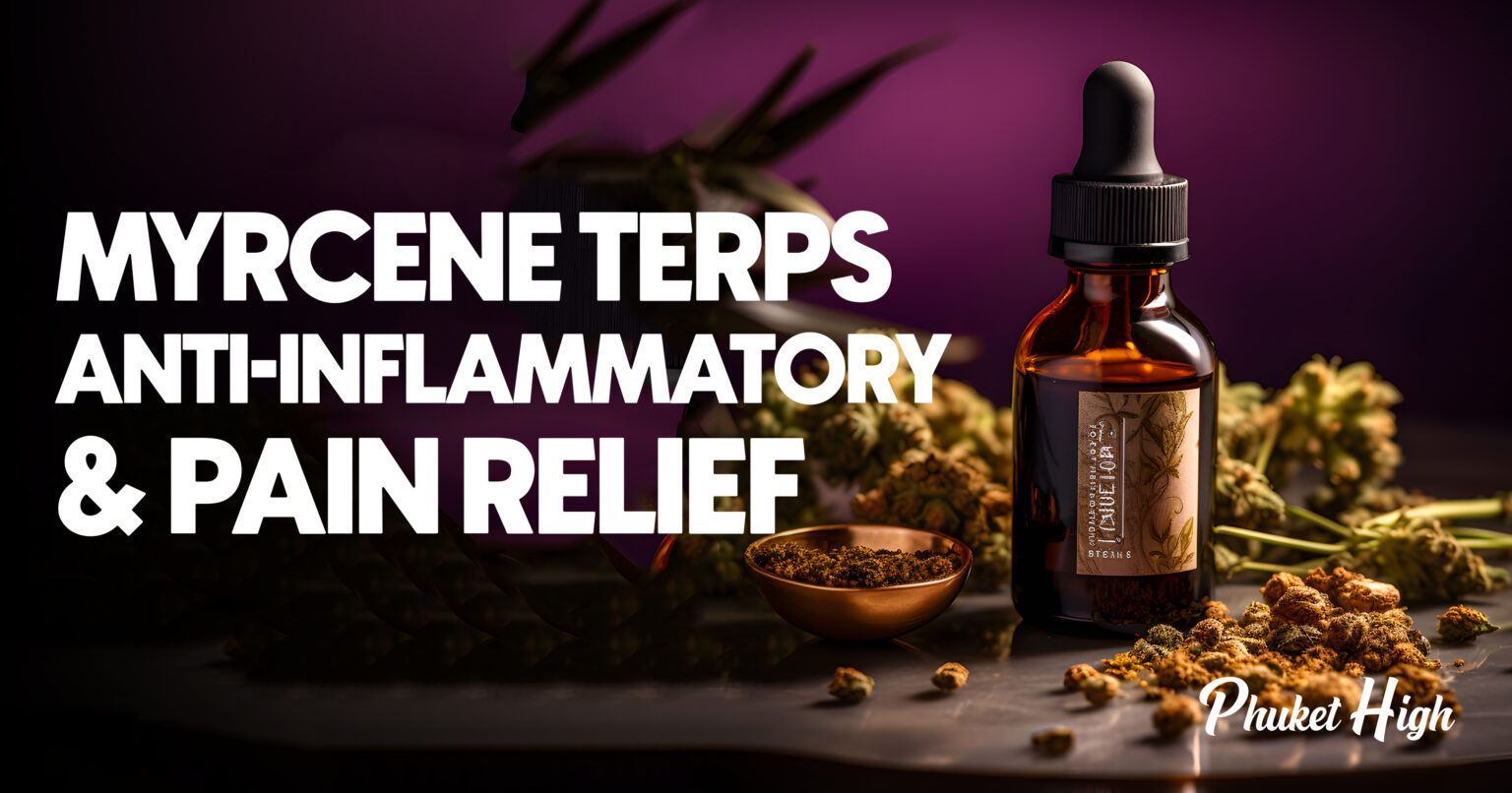 The Magical Terpene Myrcene: Unveiling Its Secrets and Benefits - Phuket High