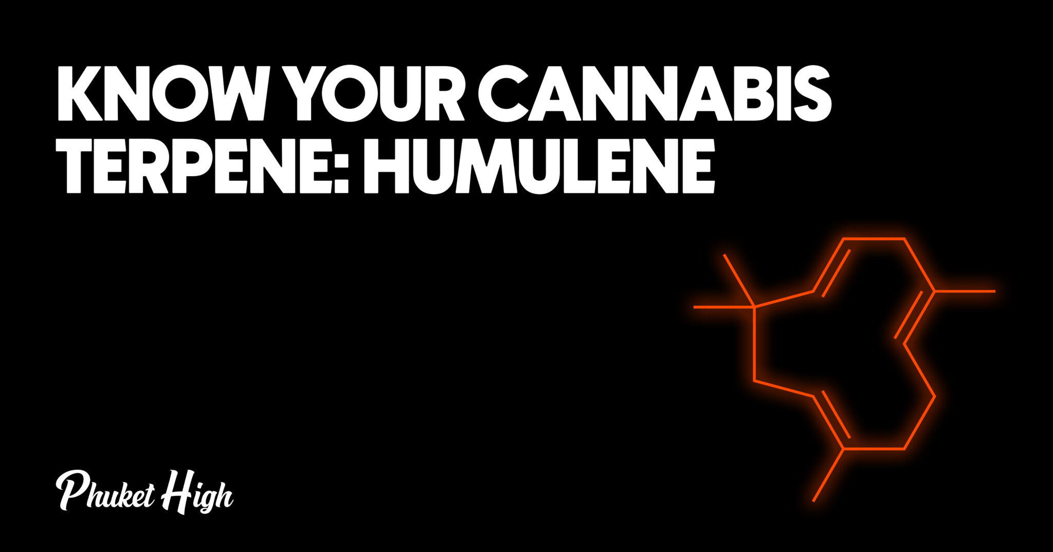 Know Your Cannabis Terpene: Humulene - Phuket High