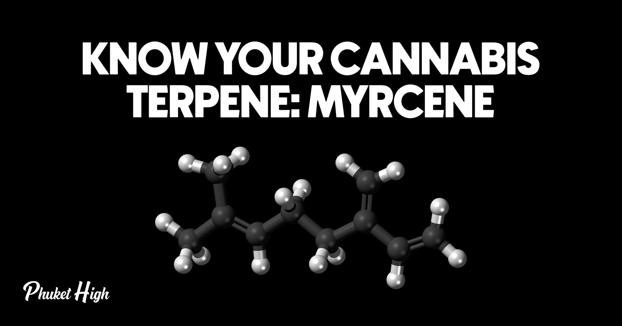 Know Your Cannabis Terpene: Myrcene - Phuket High